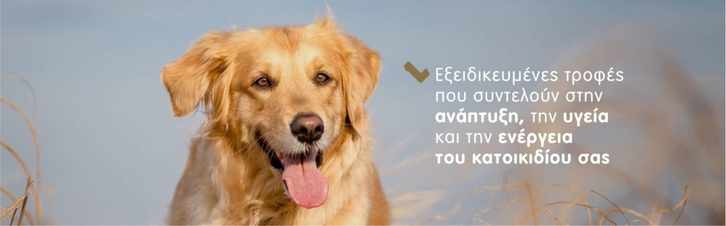ΠΟΙΟΤΗΤΑ & ΠΑΡΑΓΩΓΗ – Laky Pet Food